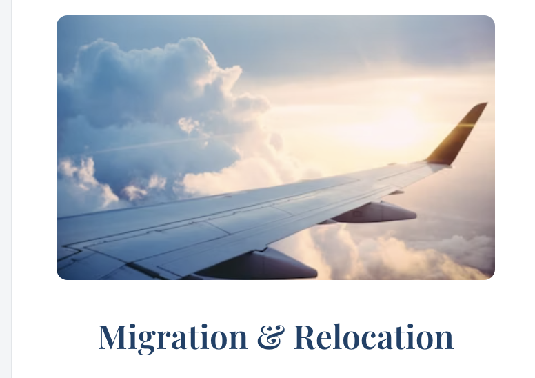 Ariel Advisory - Cross-Border Solutions, Local Expertise, Global Reach